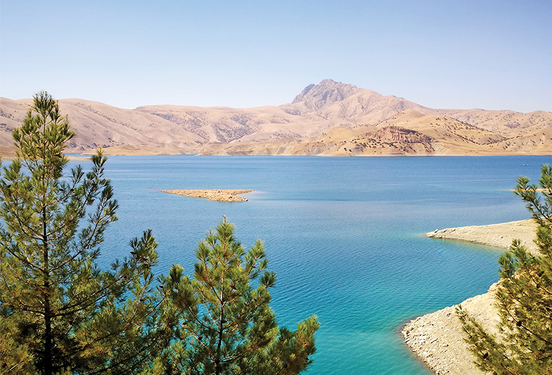 Qaiwan Group: Building a legacy of development in the region – Foreign ...